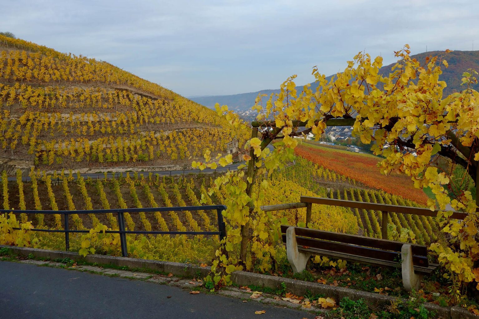 Your 2025 Mosel Wine Tour Guide – including our personal favorites ...