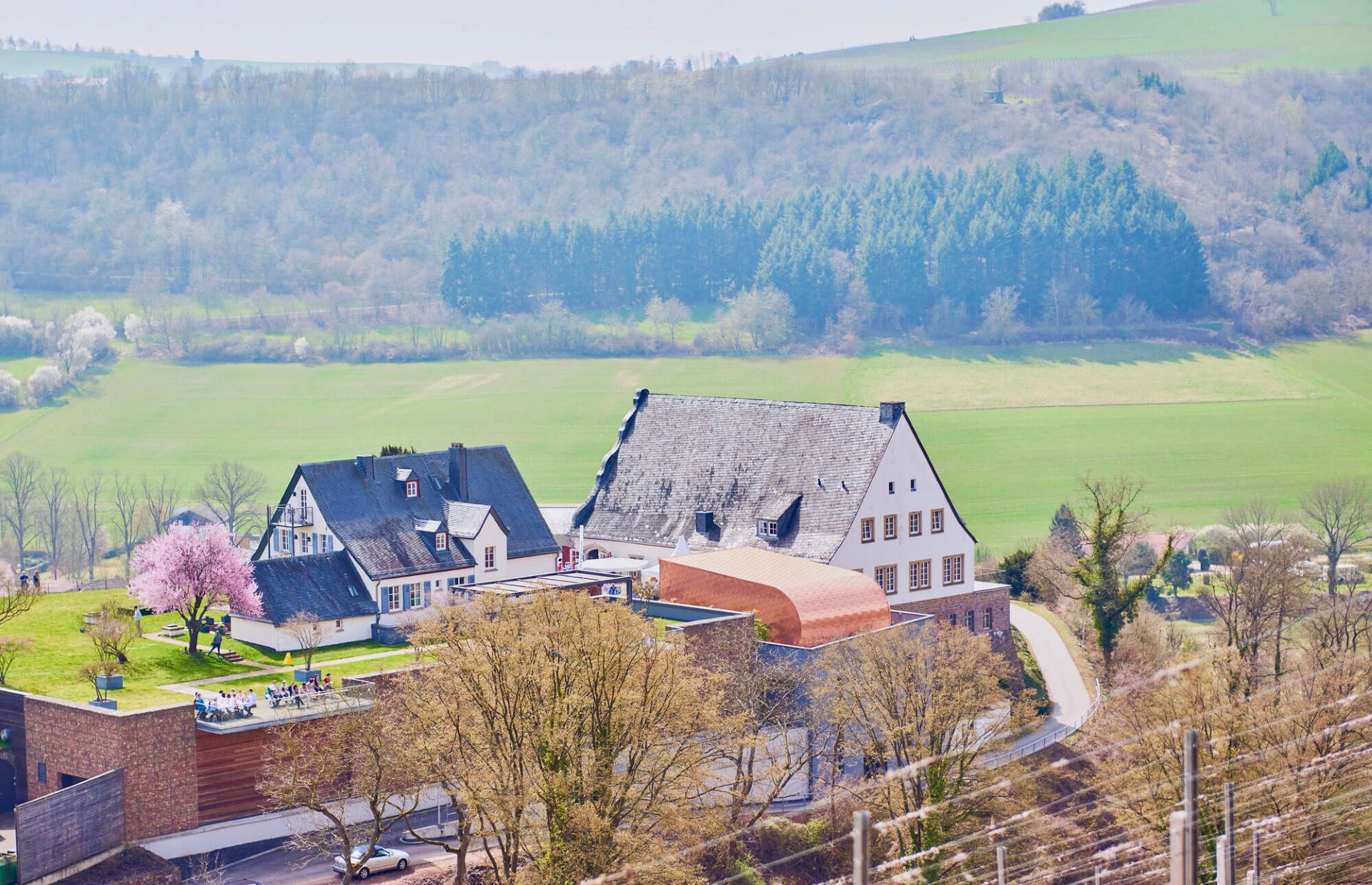 Hermannsberg – a Wine Estate that merits a Trip | BottleStops