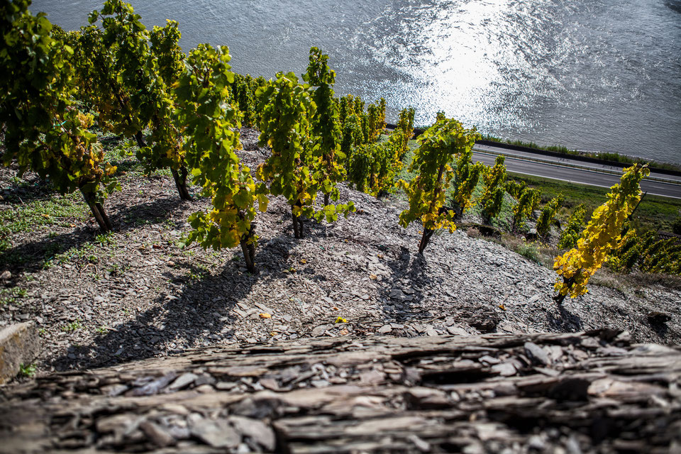 The 11 Best Vineyards of Germany – a Travel Guide | BottleStops