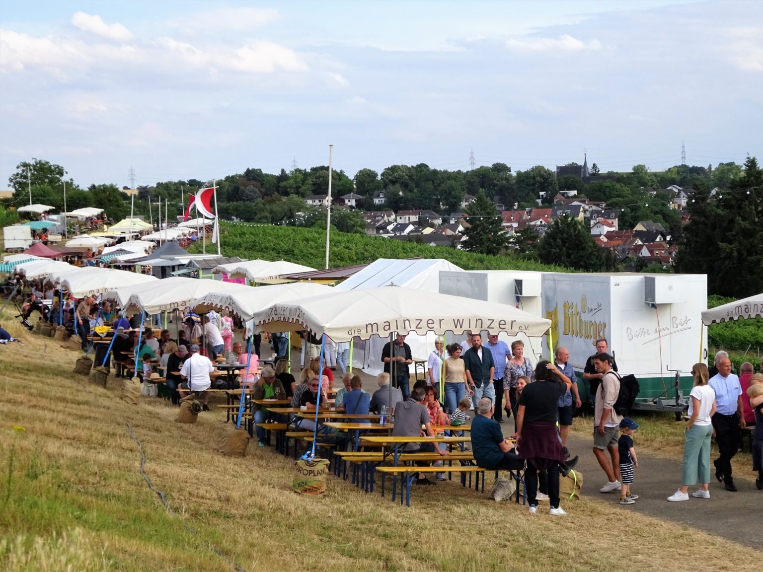 Die besten Weinfeste in Mainz 2024 - den Wein feiern wie ein Meenzer ...